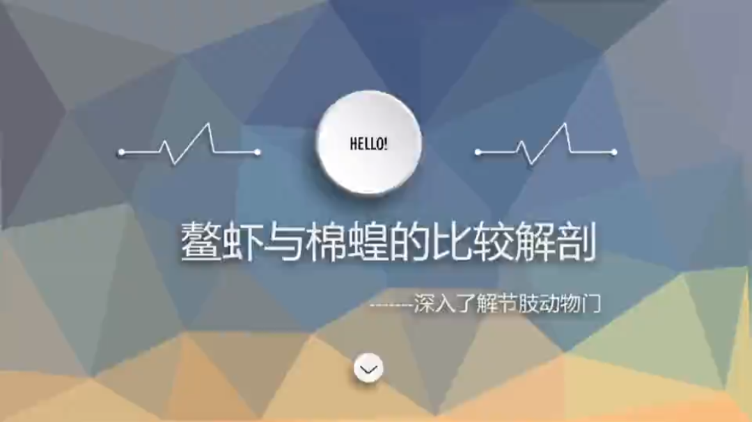#无脊椎动物学实验微课说#