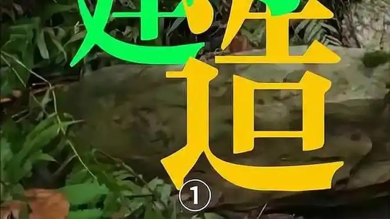 荒野建造 小美篇 第二十九集 (29 1) 荒野建造 小美大型连续剧 第五集 (...