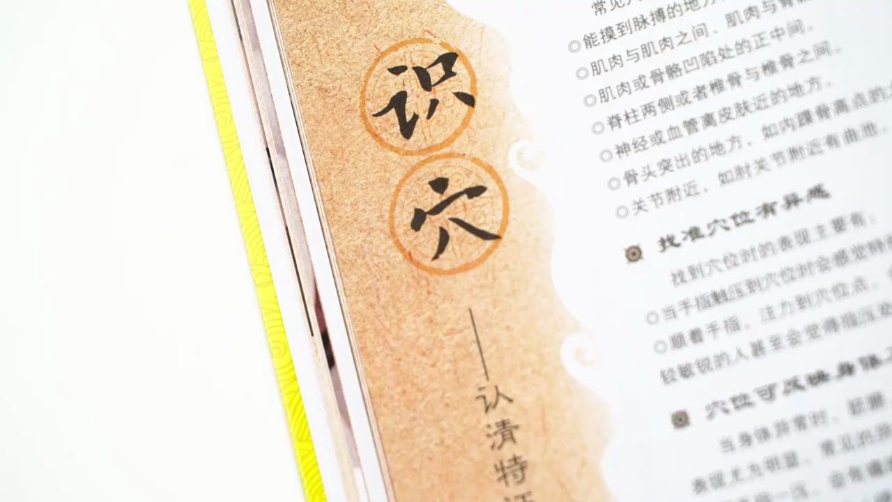 教你认识全身的穴位