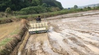 这是什么操作呢?插秧机不带秧作业了,成了高速水稻直播机的动力了。