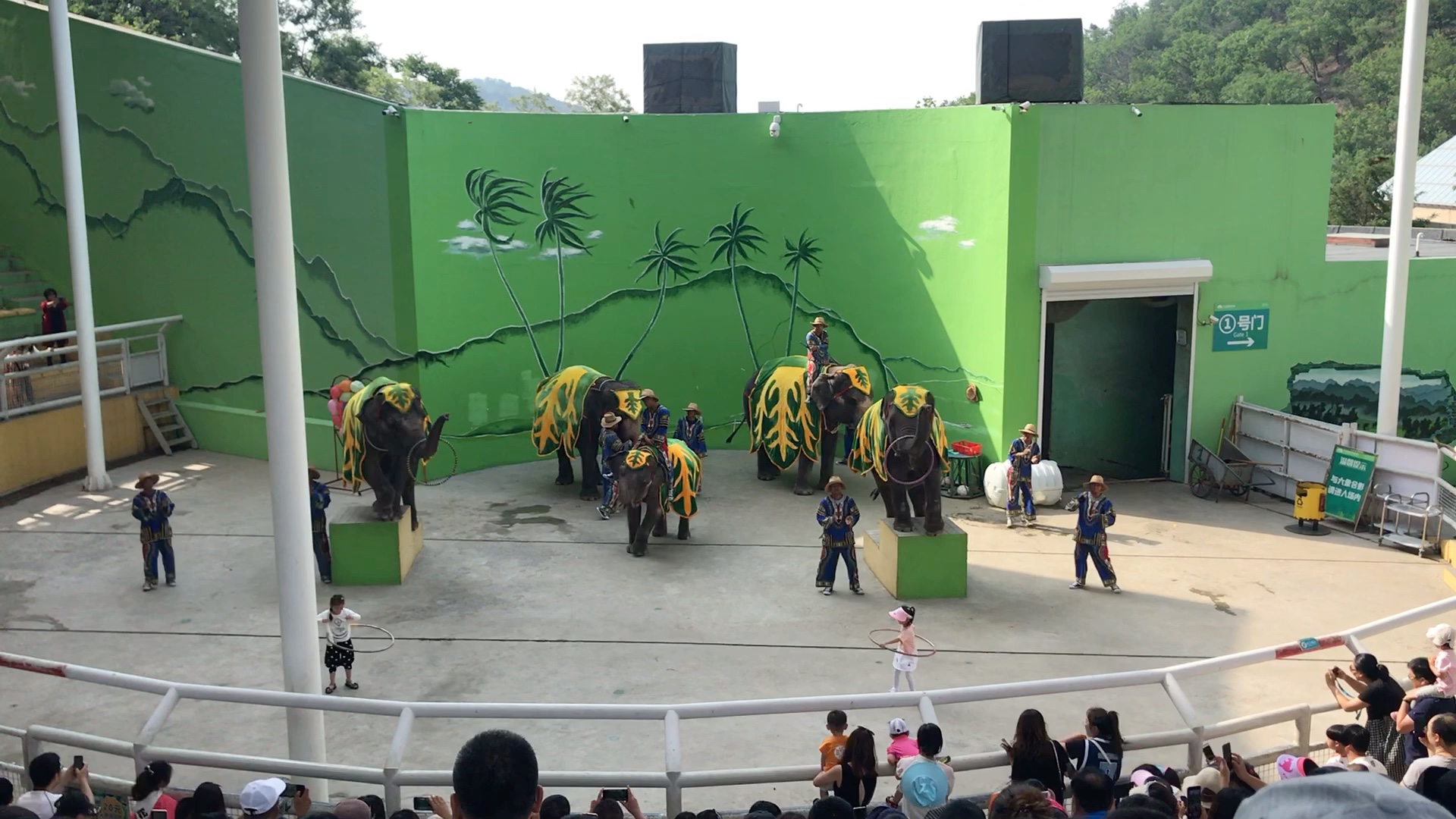 大连森林动物园大象表演