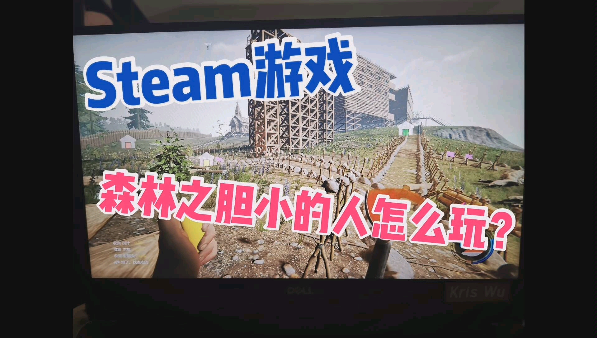 Steam游戏系列《森林》双人生存游戏之胆小的人是怎么玩恐怖游戏的 ...