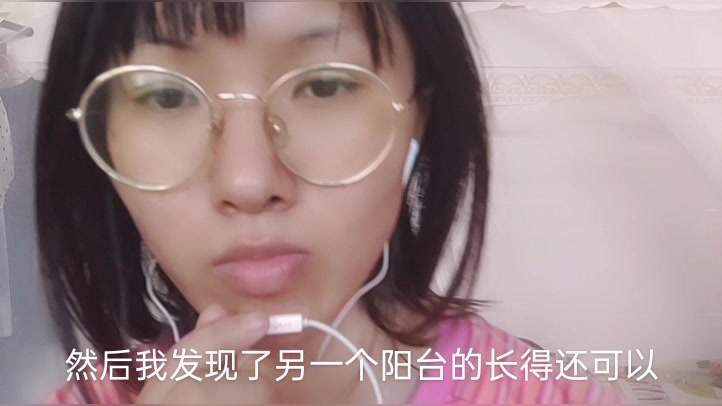 汤圆阿花的阳台番茄花开了,担心它不会结果,不知道要不要人工授粉