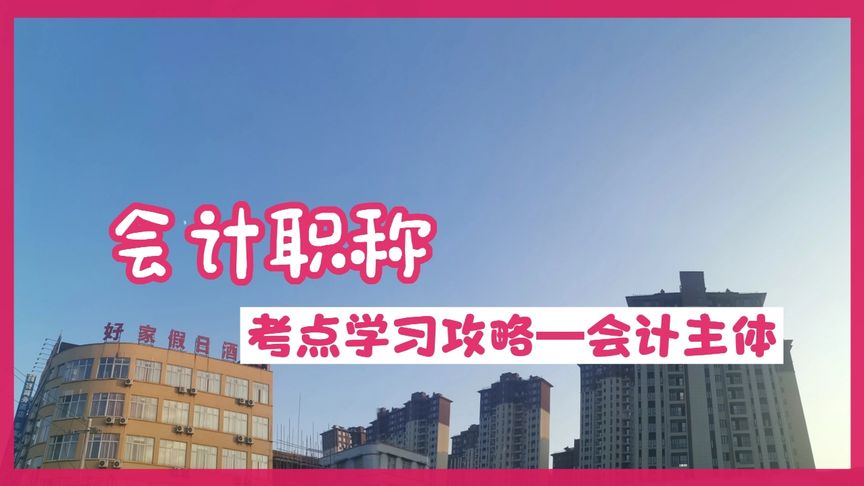 初级会计职称—会计主体