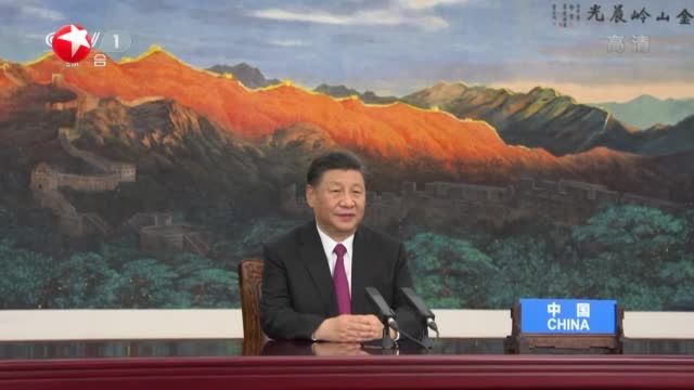 习近平出席亚太经合组织领导人非正式会议并发表讲话