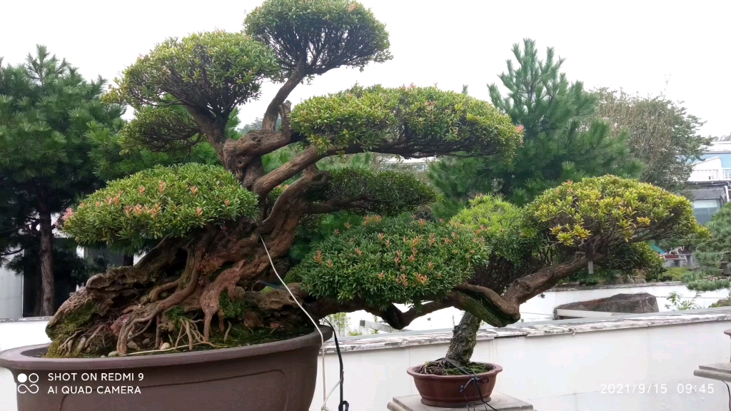 ...陕西旬邑水池渗漏治理旬邑海洋工程防腐预算,楼地面保温隔声砂浆,古...