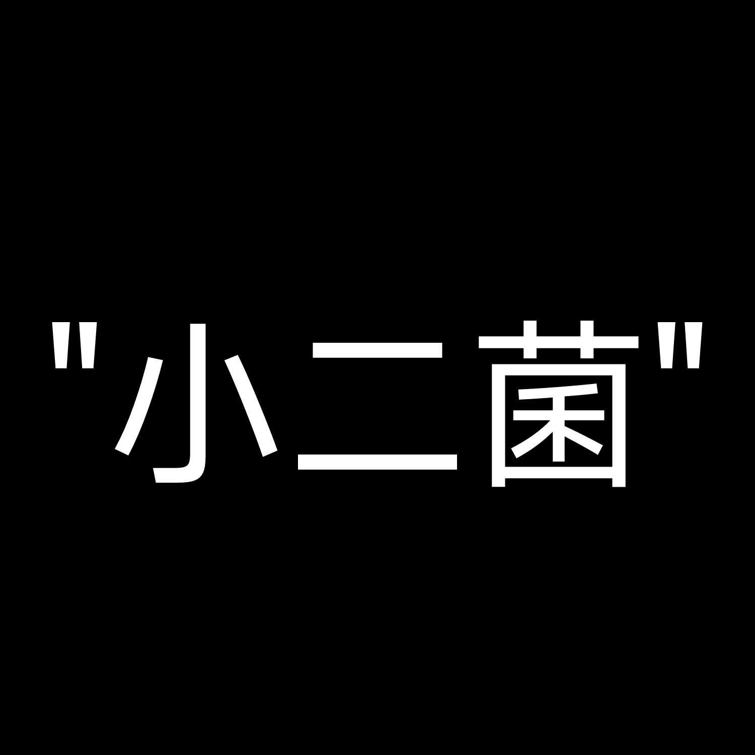 不会编程的小二菌 
