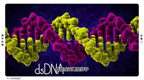 探DNA!DNA的结构特点纯享版完整版制作中