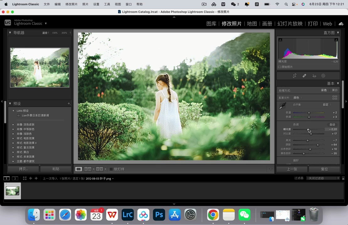 6.0Lr预设的使用方法