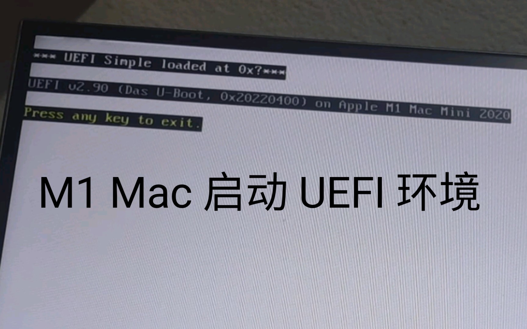 在 Apple M1 上运行 UEFI 环境 原生启动 Windows 的第一步