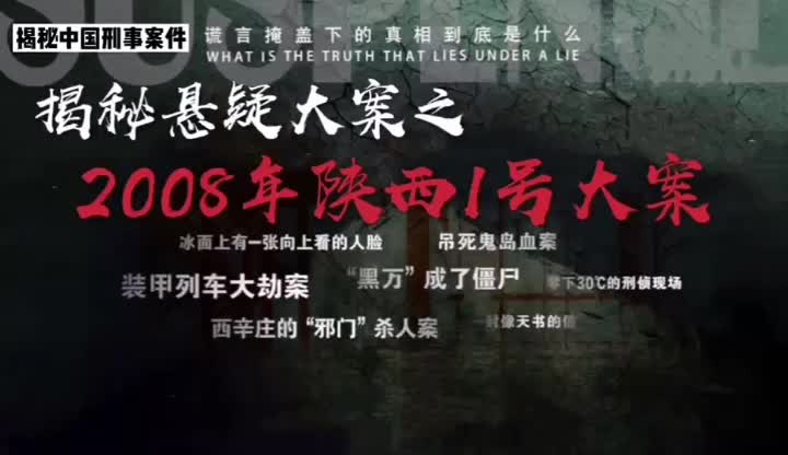 2008年陕西1号大案,特大持枪抢劫杀人案|揭秘悬疑大案