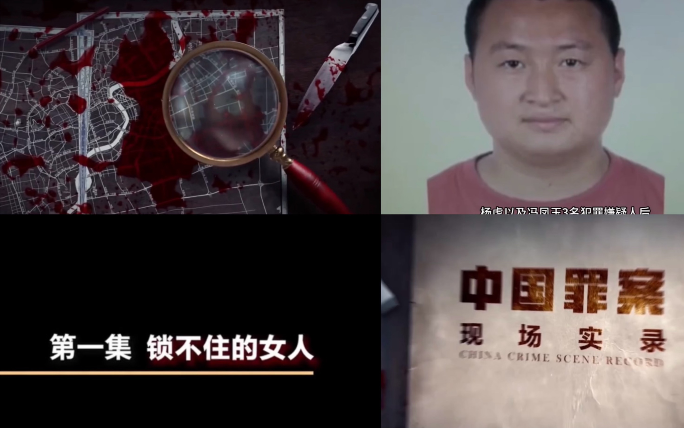 中国罪案现场实录(锁不住的女人)