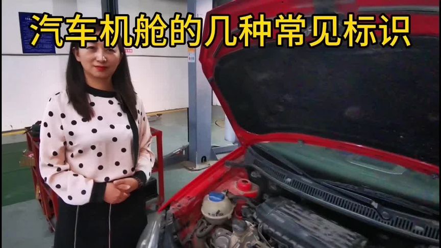 #汽车知识 带你了解车辆的几种常见标识