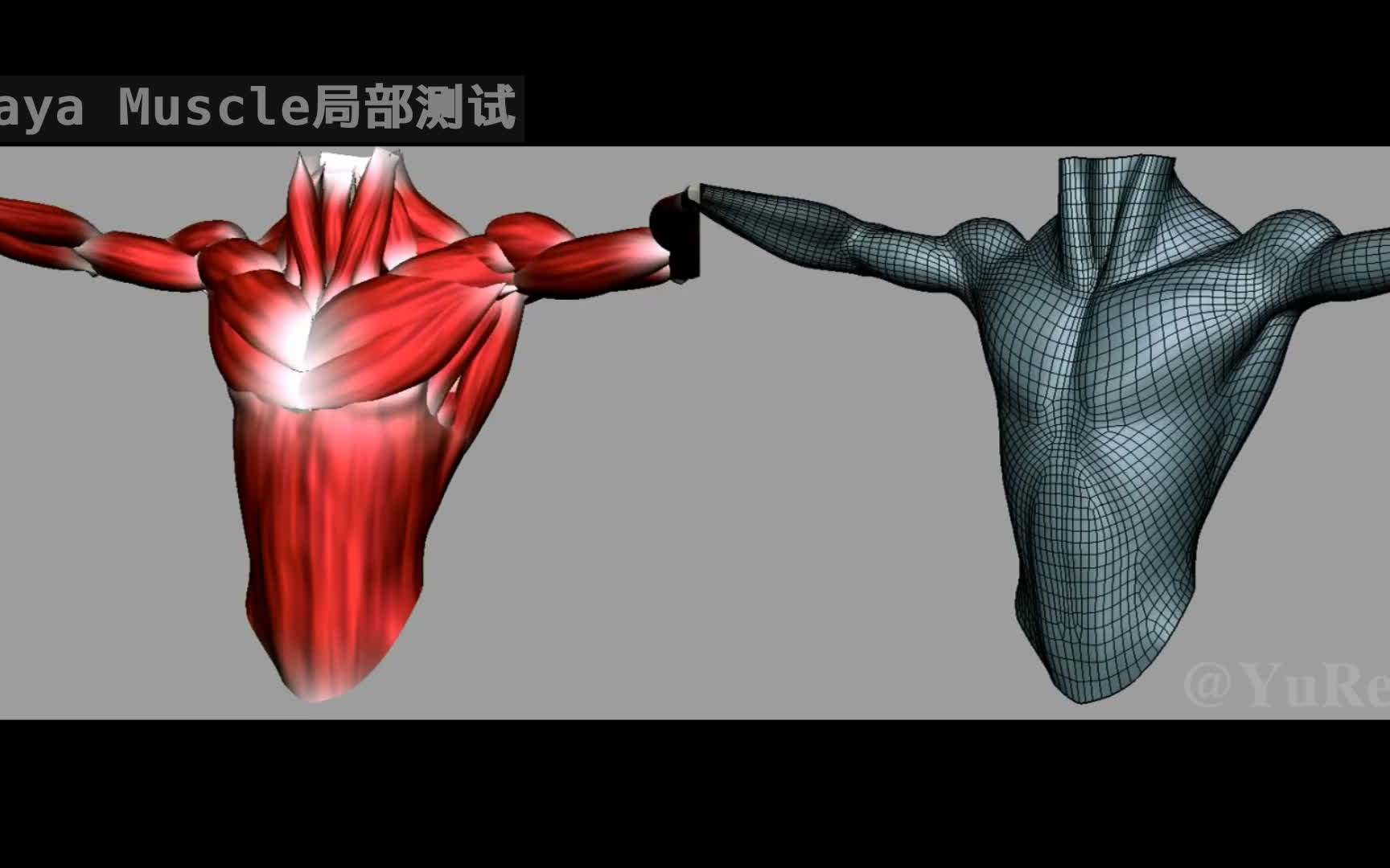 【技术测试】Maya Muscle局部测试