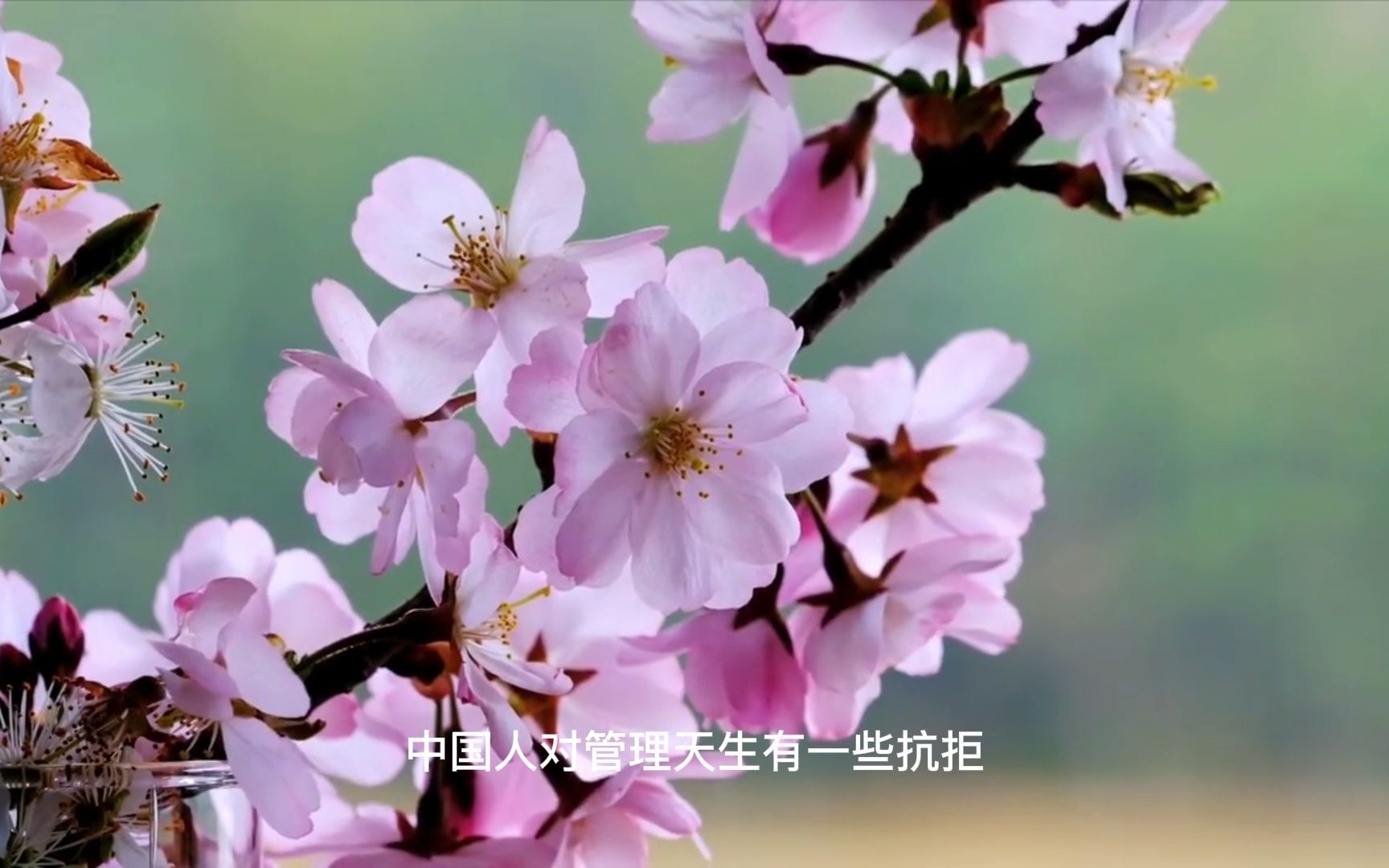 如何做好管理?这个方法管用!