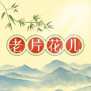老片花儿