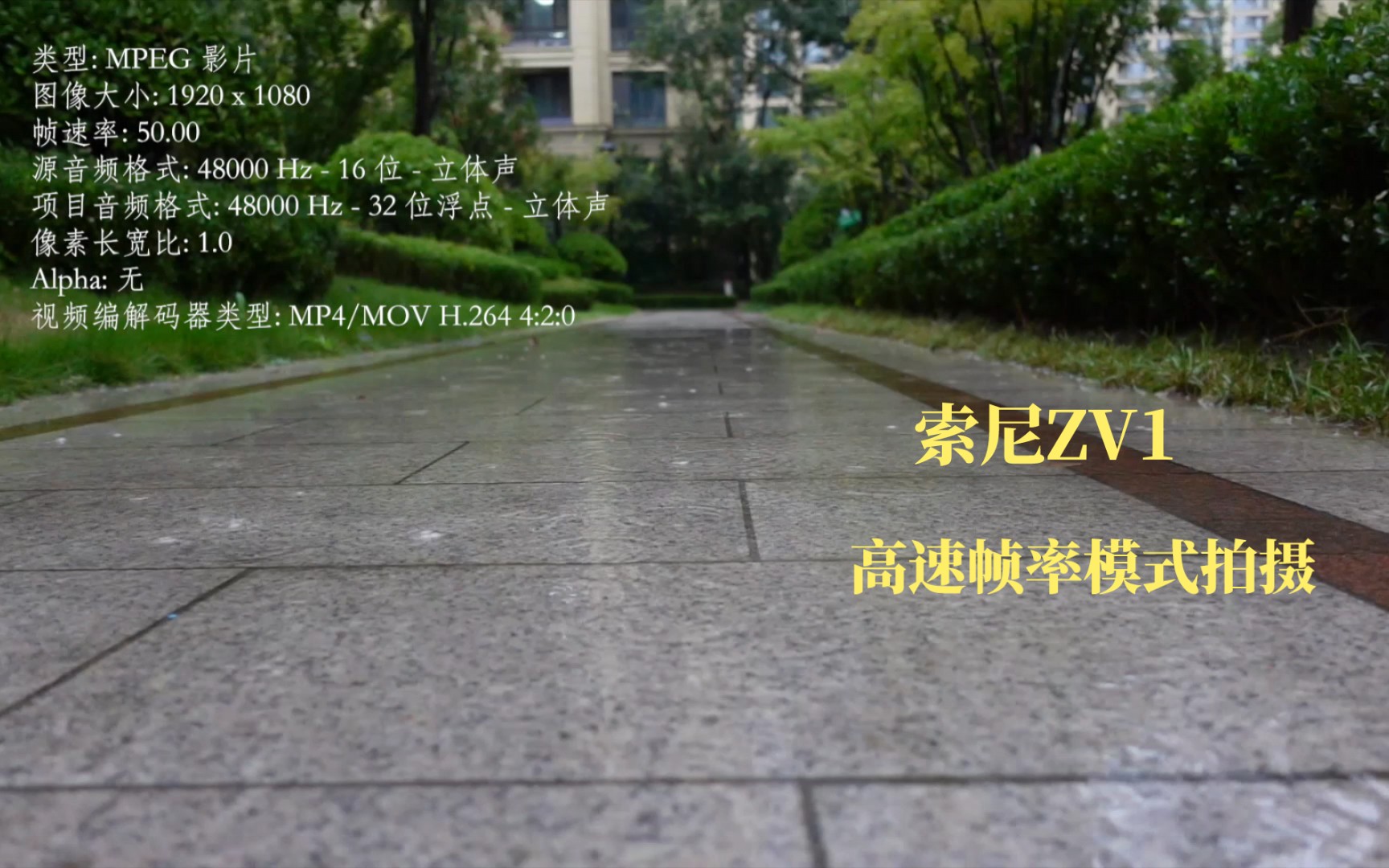 【索尼ZV1】【高速帧率】下雨天拍摄,治愈系来了