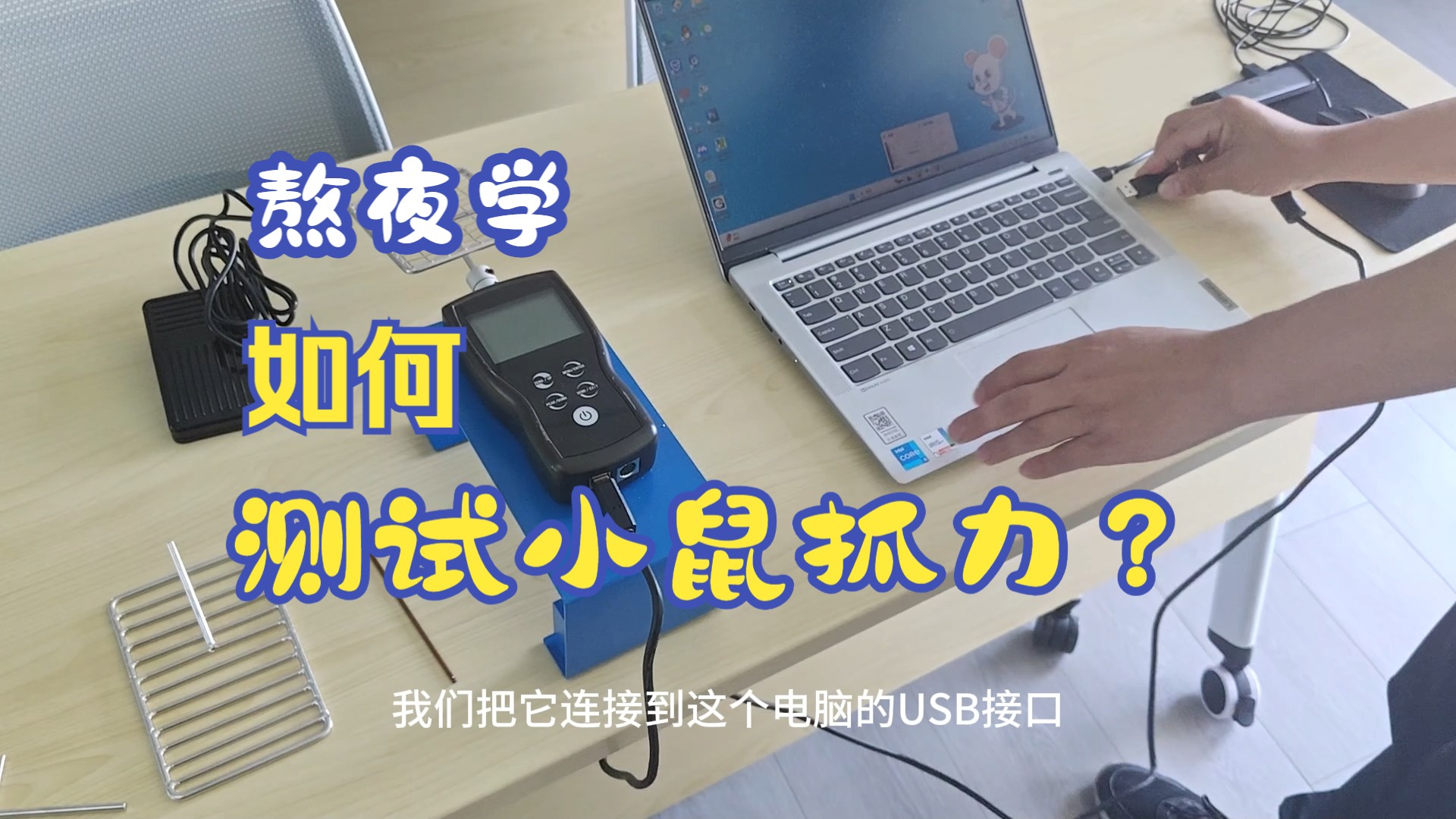 掌握关键技巧:小鼠抓力计操作视频教程
