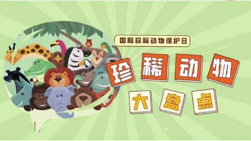 际珍稀动物保护日:珍稀动物都有谁?
