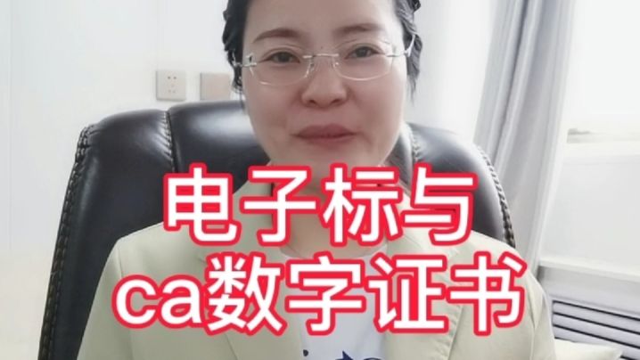 电子标 与ca数字证书