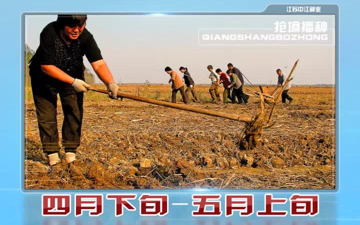 中江种业宣传片