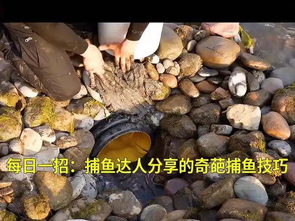 每日一招:捕鱼达人分享的奇葩捕鱼技巧
