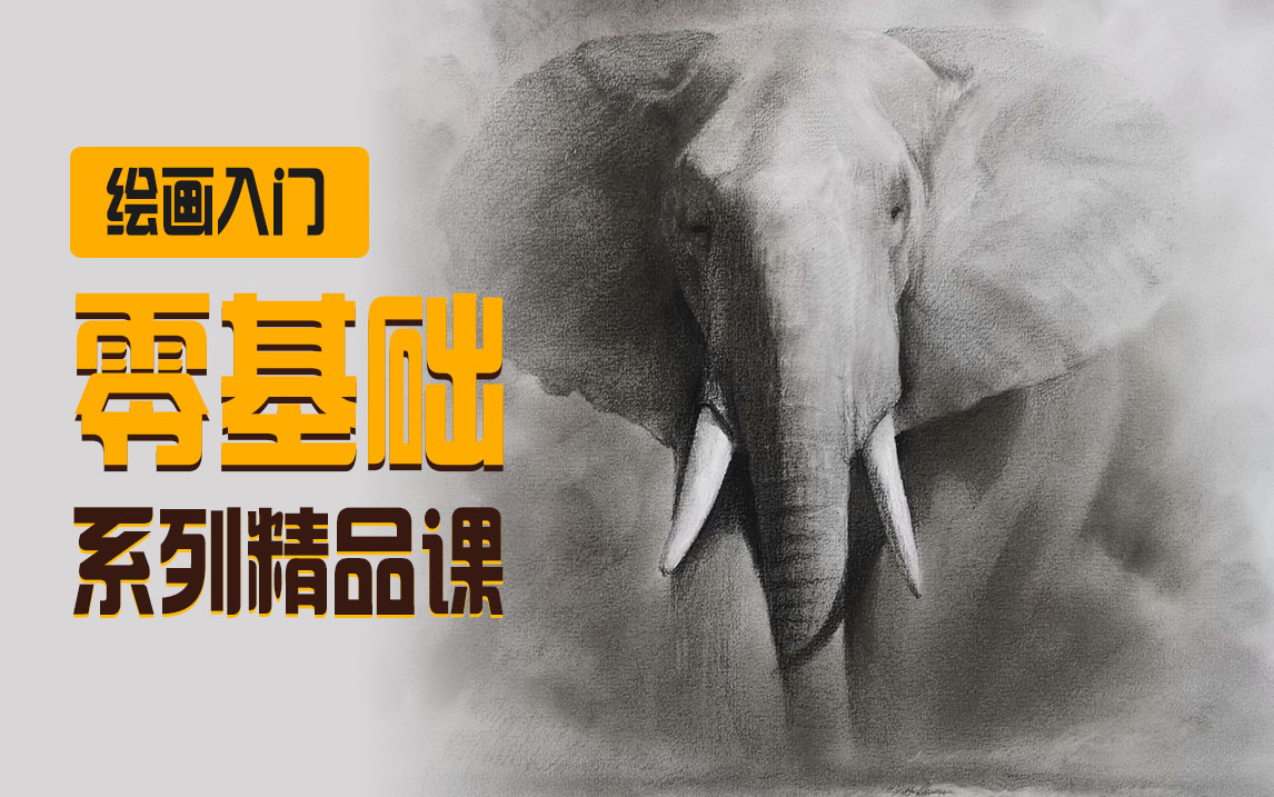 【绘画入门】素描基础系列精品课,绘画零基础入门教程