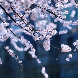 人生悟语正能量 