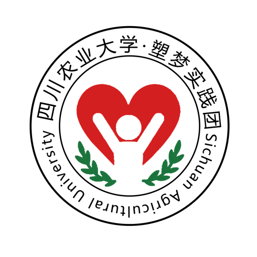 塑梦实践团 