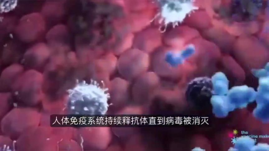 3D动画演示病毒的入侵和人体的反击,堪称战争大片