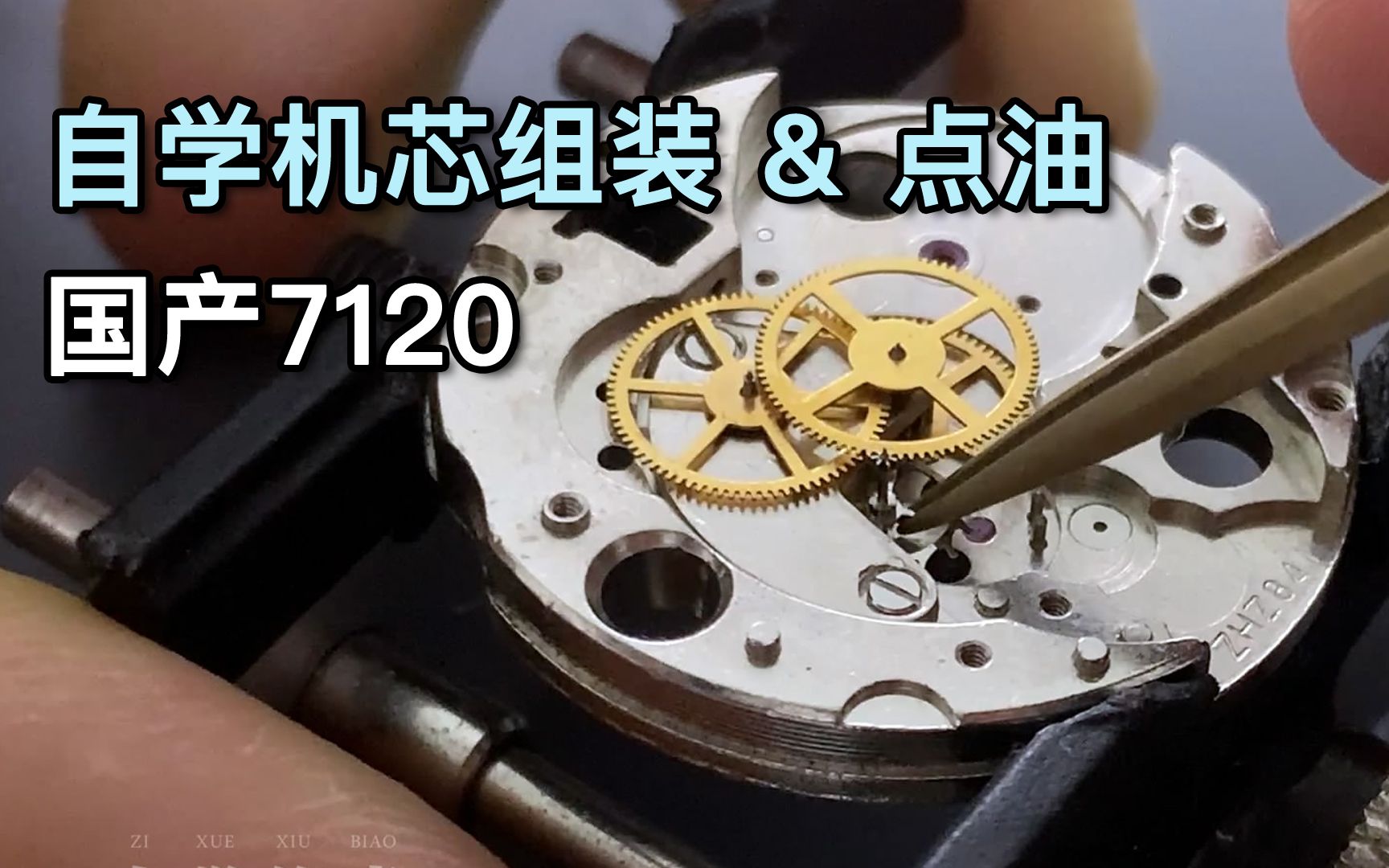自己动手组装机芯,国产7120统机 #自学修表