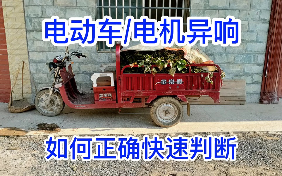 电动车/电机异响?如何正确快速判断?满意修车!教学!