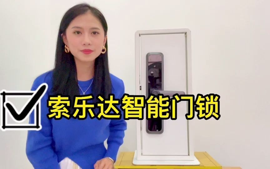索乐达木门智能锁酒店出租房指纹密码锁民宿蛋壳公寓锁远程APP通通...