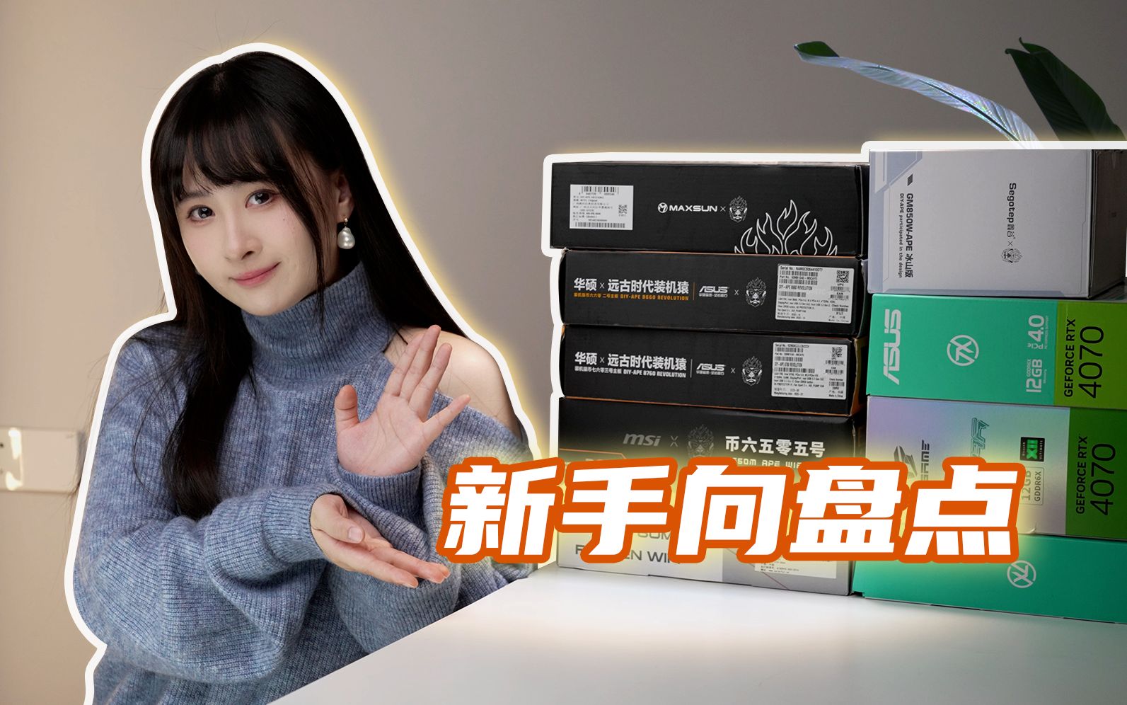 DIY新手向入门之如果想入坑背插系统该怎么买?2023年11.11背插主板...