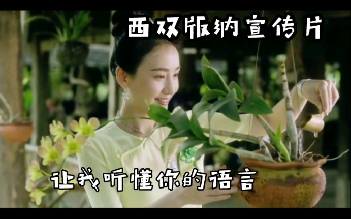 【精品宣传片】西双版纳傣族自治州《让我听懂你的语言(世界版)》|...