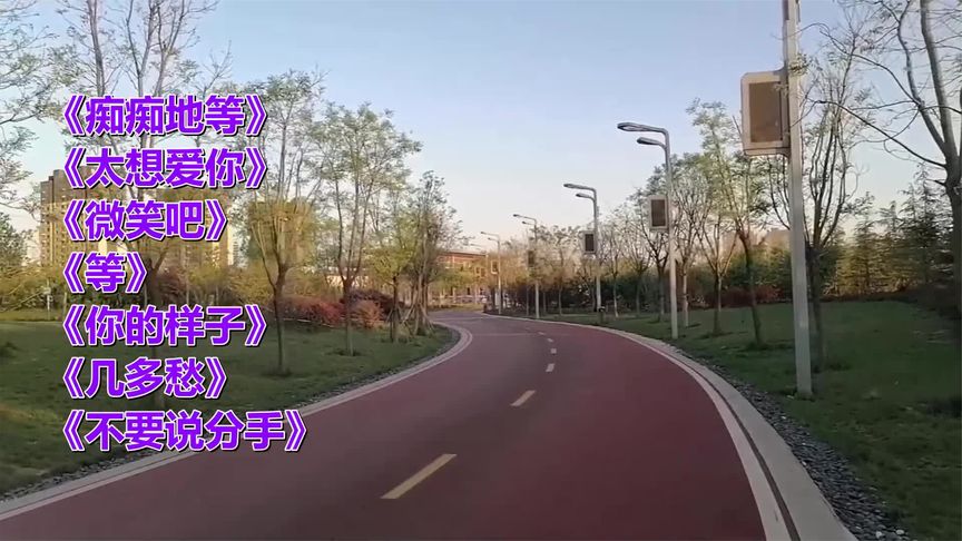 《痴痴地等》《太想爱你》《微笑吧》《等》《你的样子》