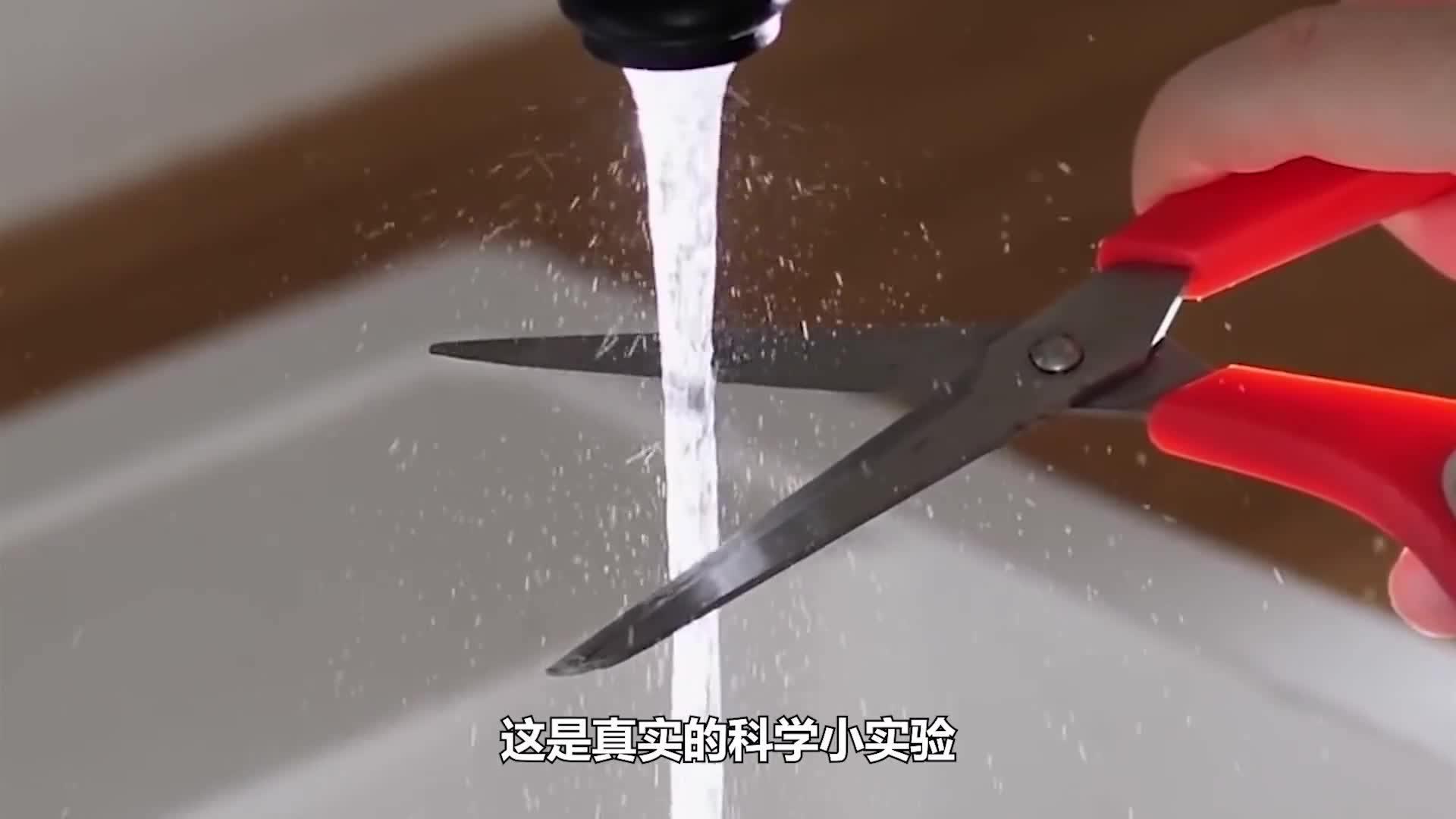 几个简单易上手的科学小实验,让孩子在实验中轻松领悟科学原理!