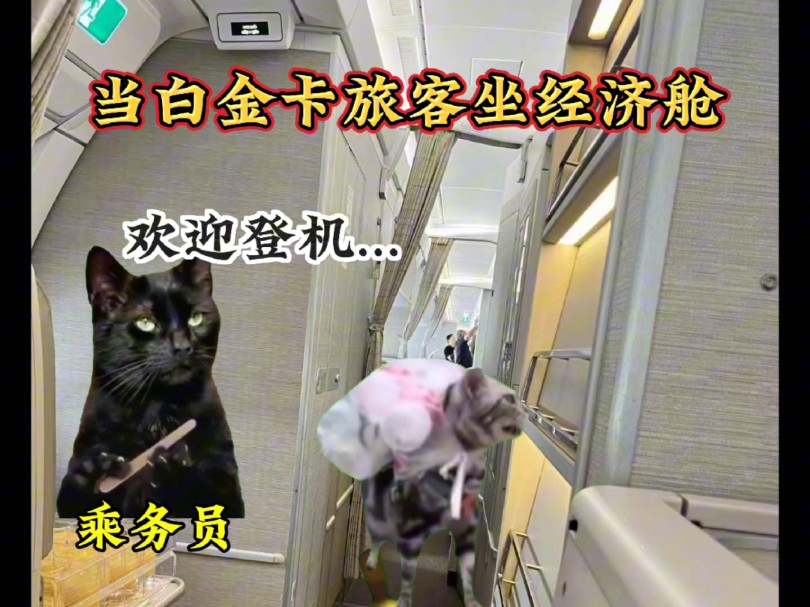 白金卡是飞机上的神嘛?