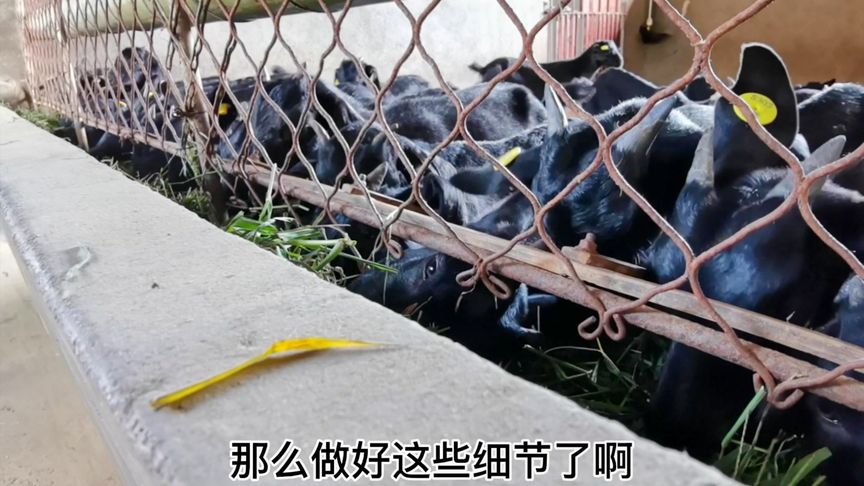 农民割草喂羊,防农药中毒,1个重要的事项不能忘