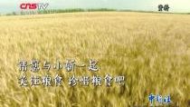 世界粮食日:听听各地民众的“粮食记忆”