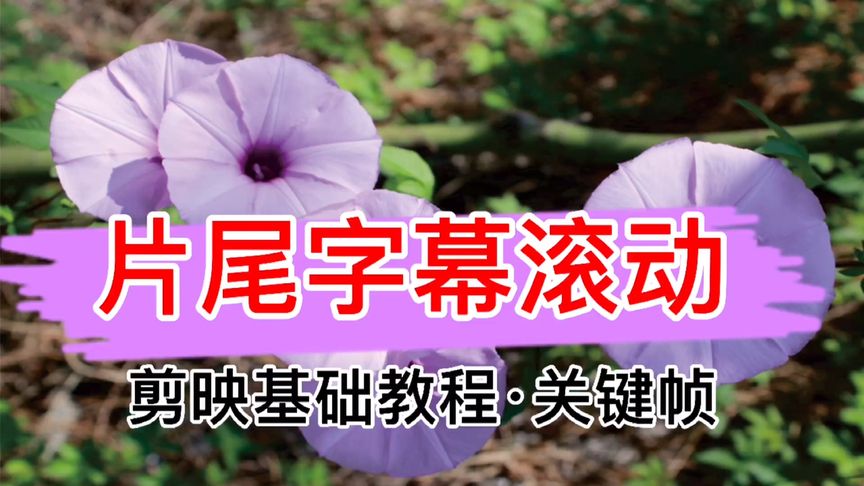 影视片尾的滚动字幕介绍,剪映关键帧一步就做好,新手可学