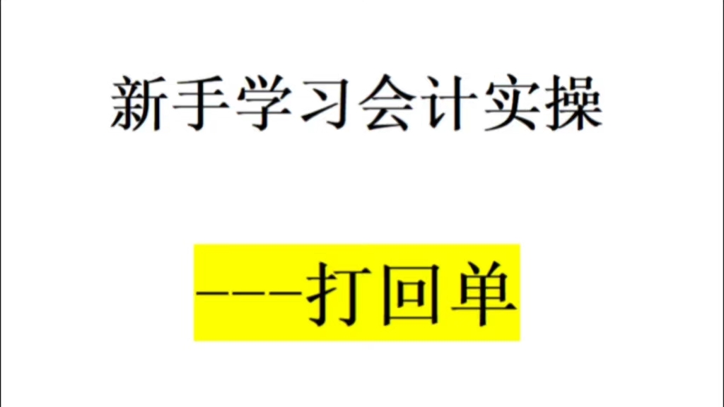 新手学习会计实操---打回单!