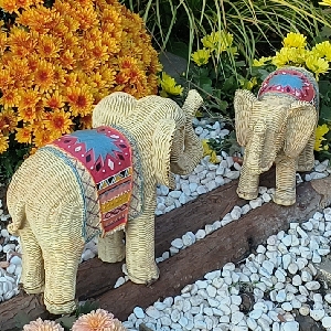 散落的一际星辰 