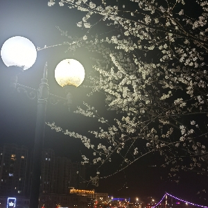 昵称实际不重要 