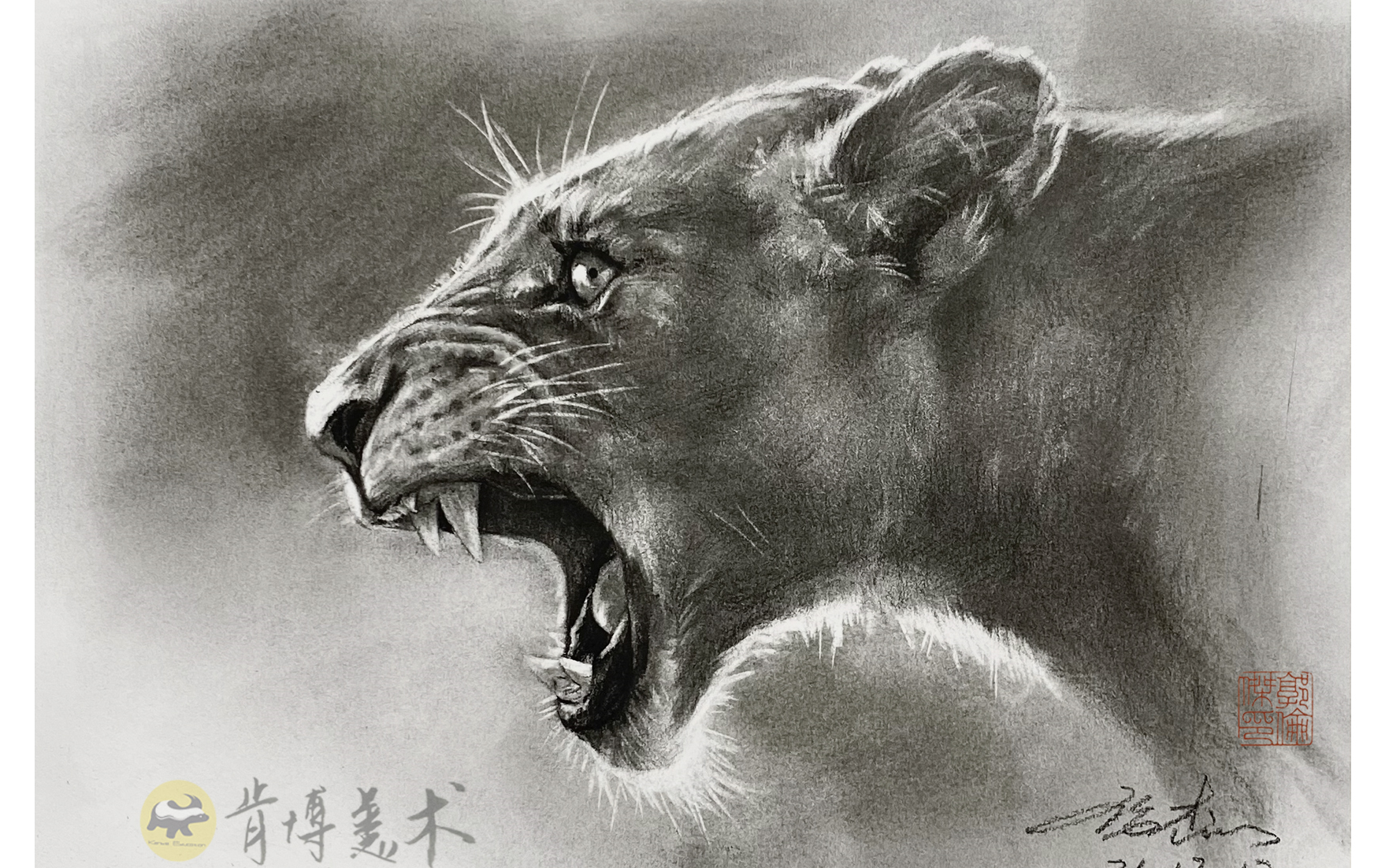 【动物素描】狮子咆哮,绘画全过程