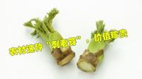 农村这种“刺老芽”, 树上能生野菜, 农民当柴烧, 却不知价值珍贵