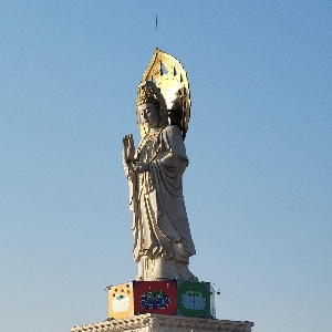 见或不见张敬轩 