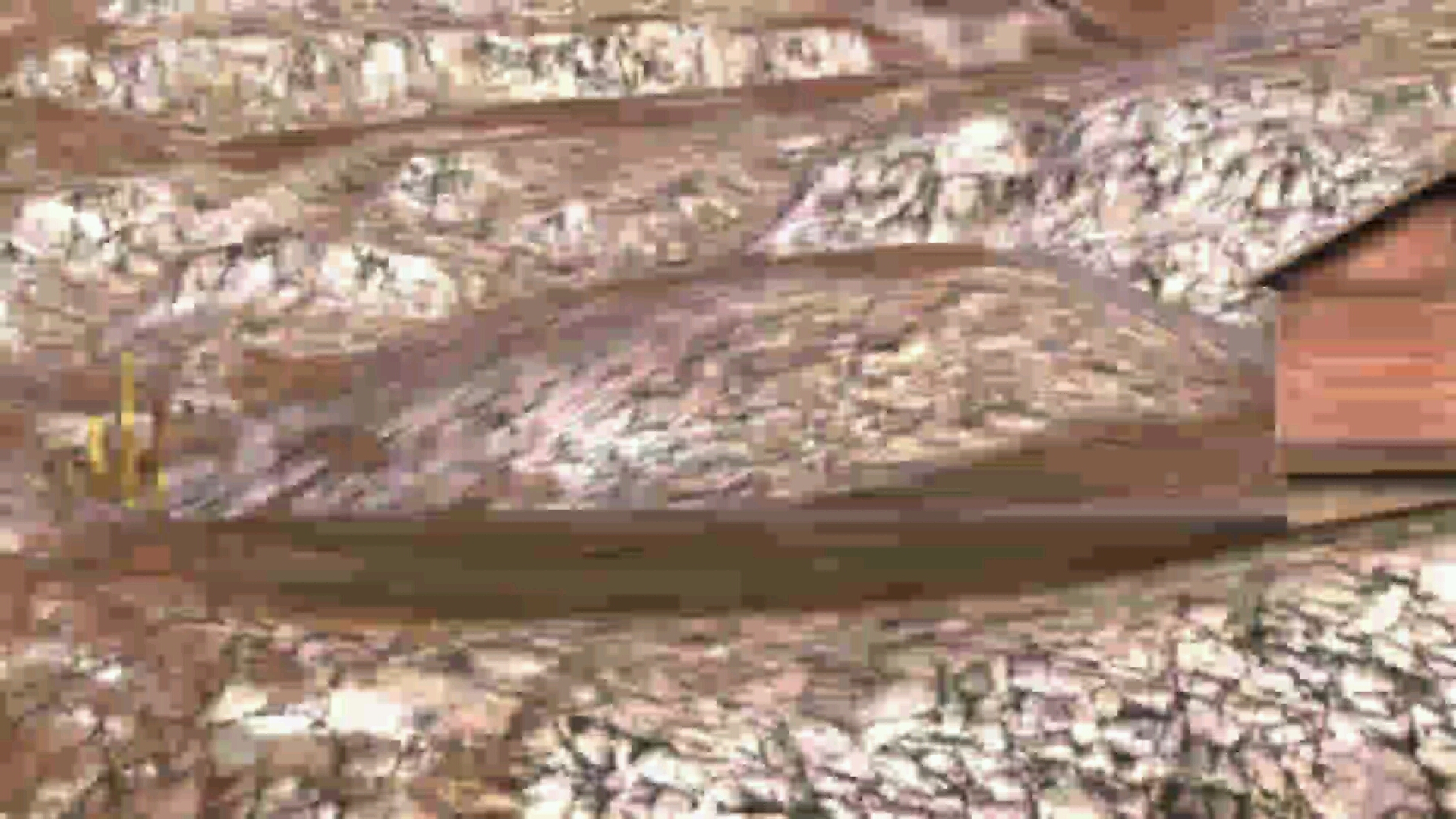 第二次世界大战时期的珍贵录像(BuShi)