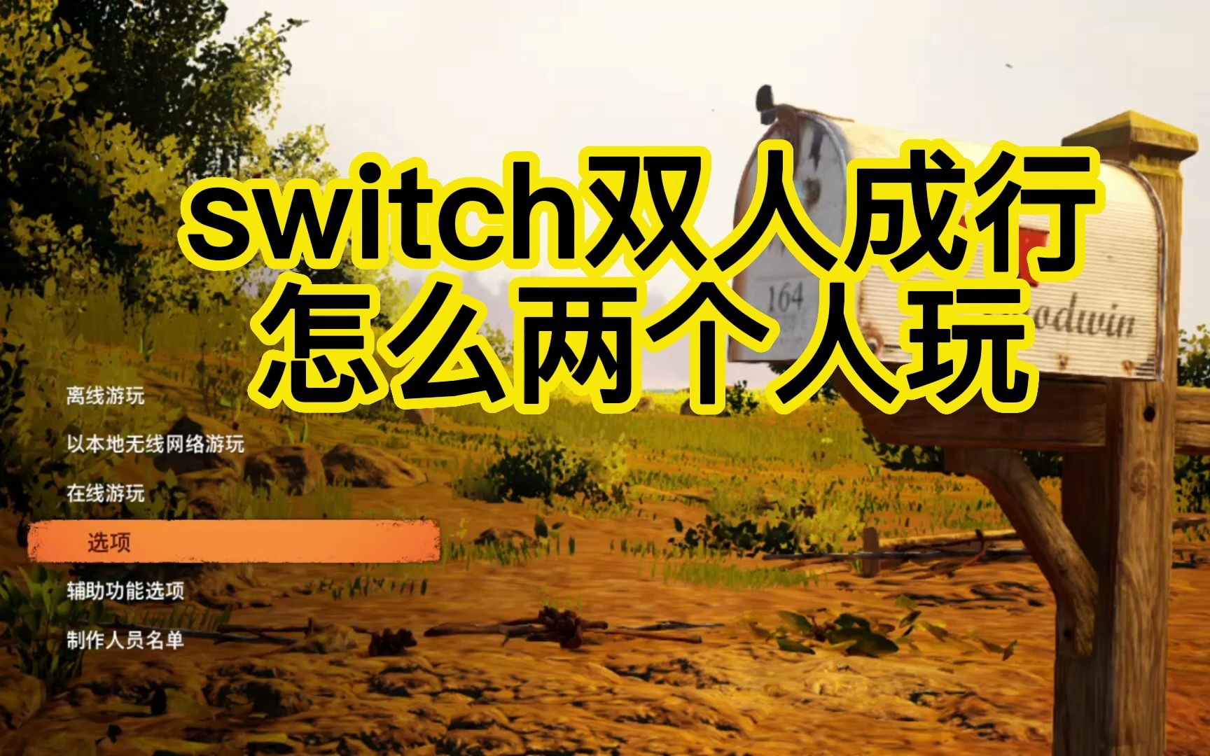 双人成行怎么两个人玩(switch版)?_单机游戏热门视频