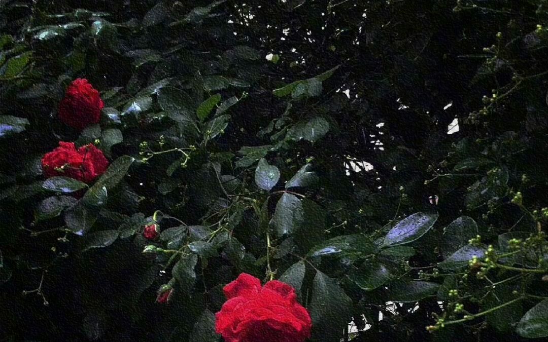 游戏可以开始,但规则我来定. 野心薛之谦